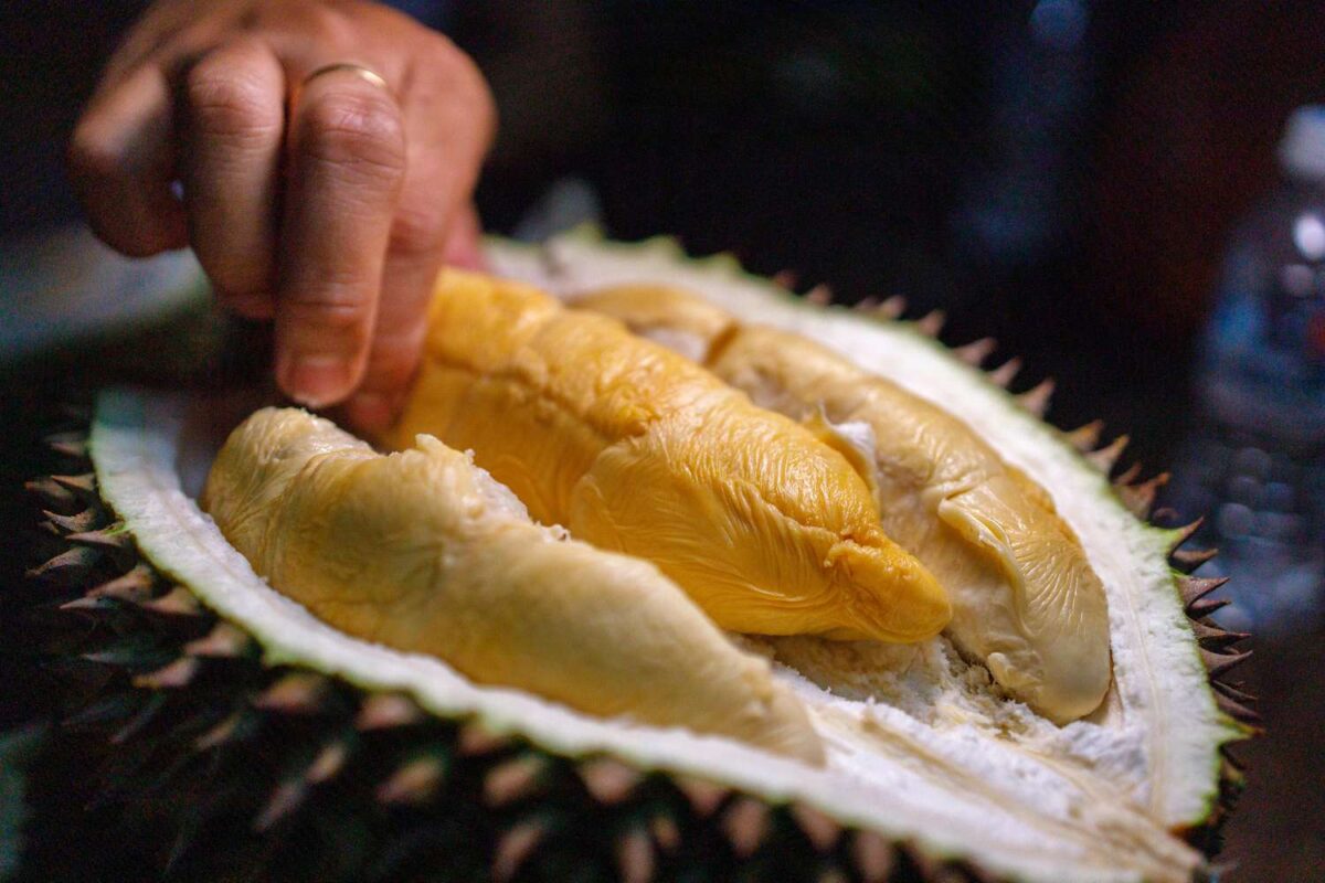 Alles, was du über Durian wissen musst